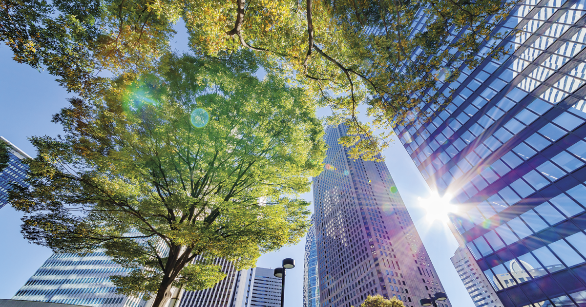 Measuring and mitigating city microclimates