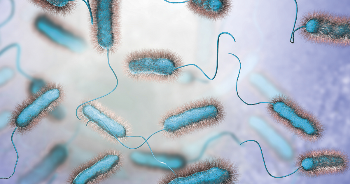 Legionella control: a guide for FMs