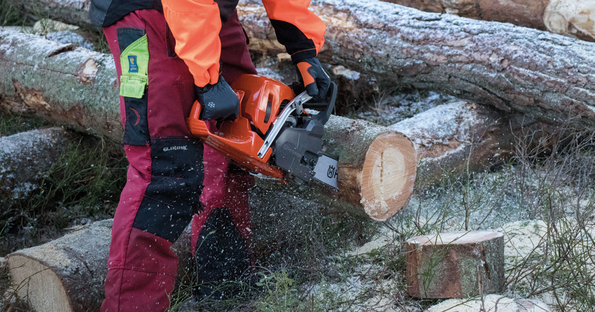 Are we heading towards a timber shortage crisis?