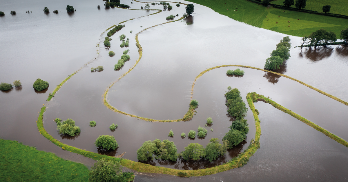 Northern Ireland news