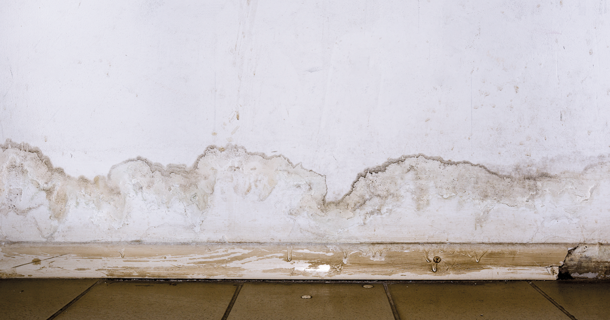 Identifying signs of rising damp and how to fix it