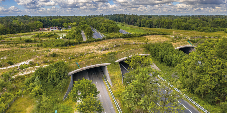 Green bridges